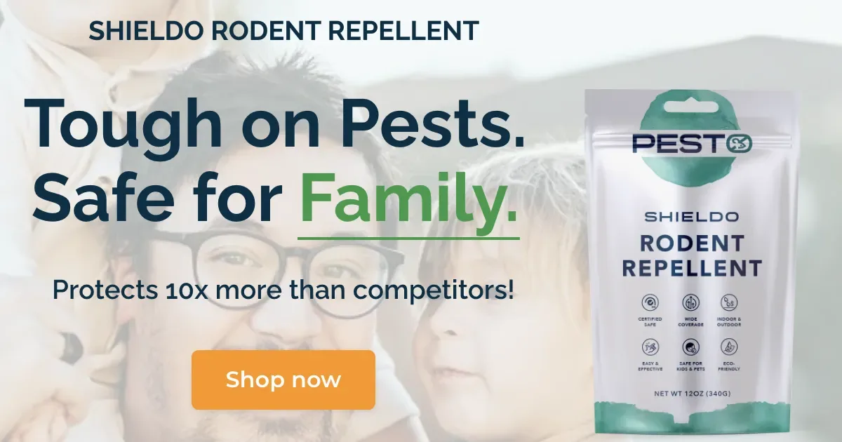Pest0 | Best Natural rodent repellent for effective pest control - Pest0